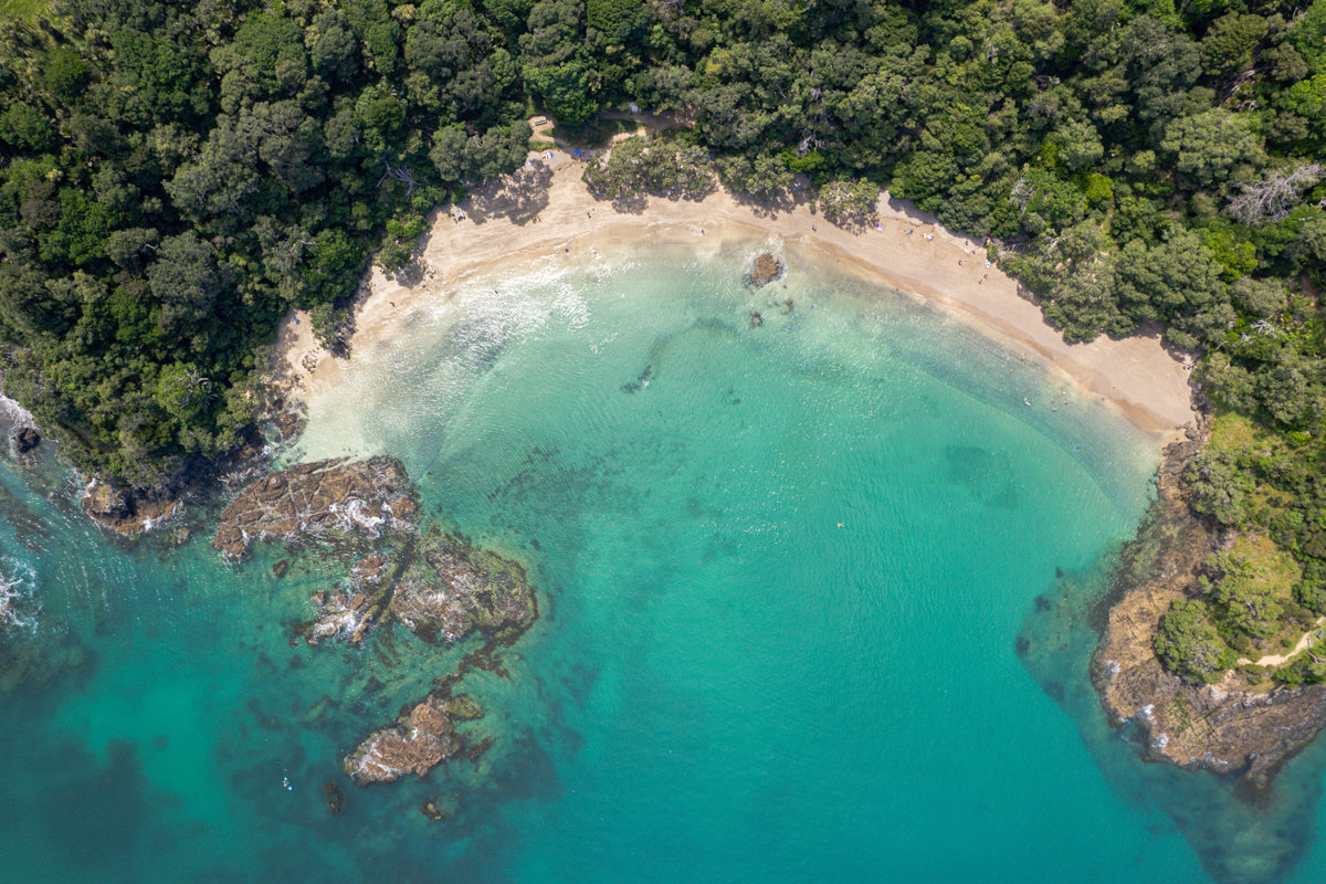 Quality Fine Art print Whale Bay – Alan Squires Gallery